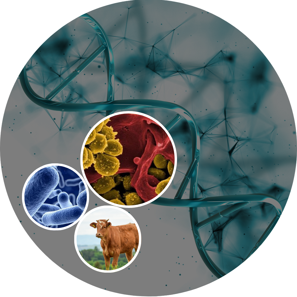 Bio Scripts Bioinformatics Custom Scripts Arraygen